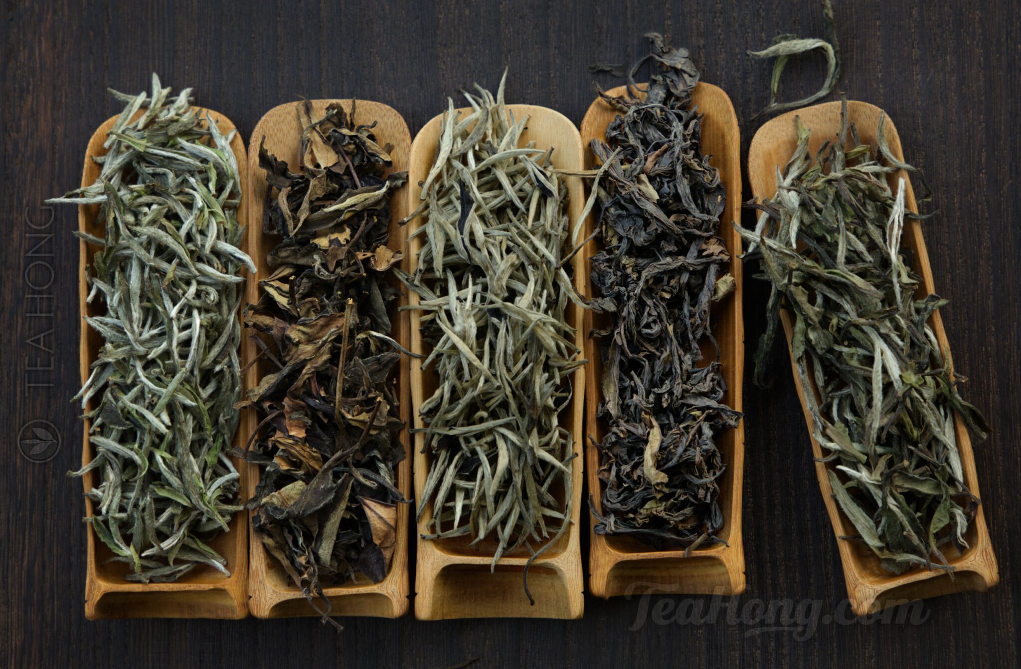 Myths about White Teas – Tea Hong 茶香行