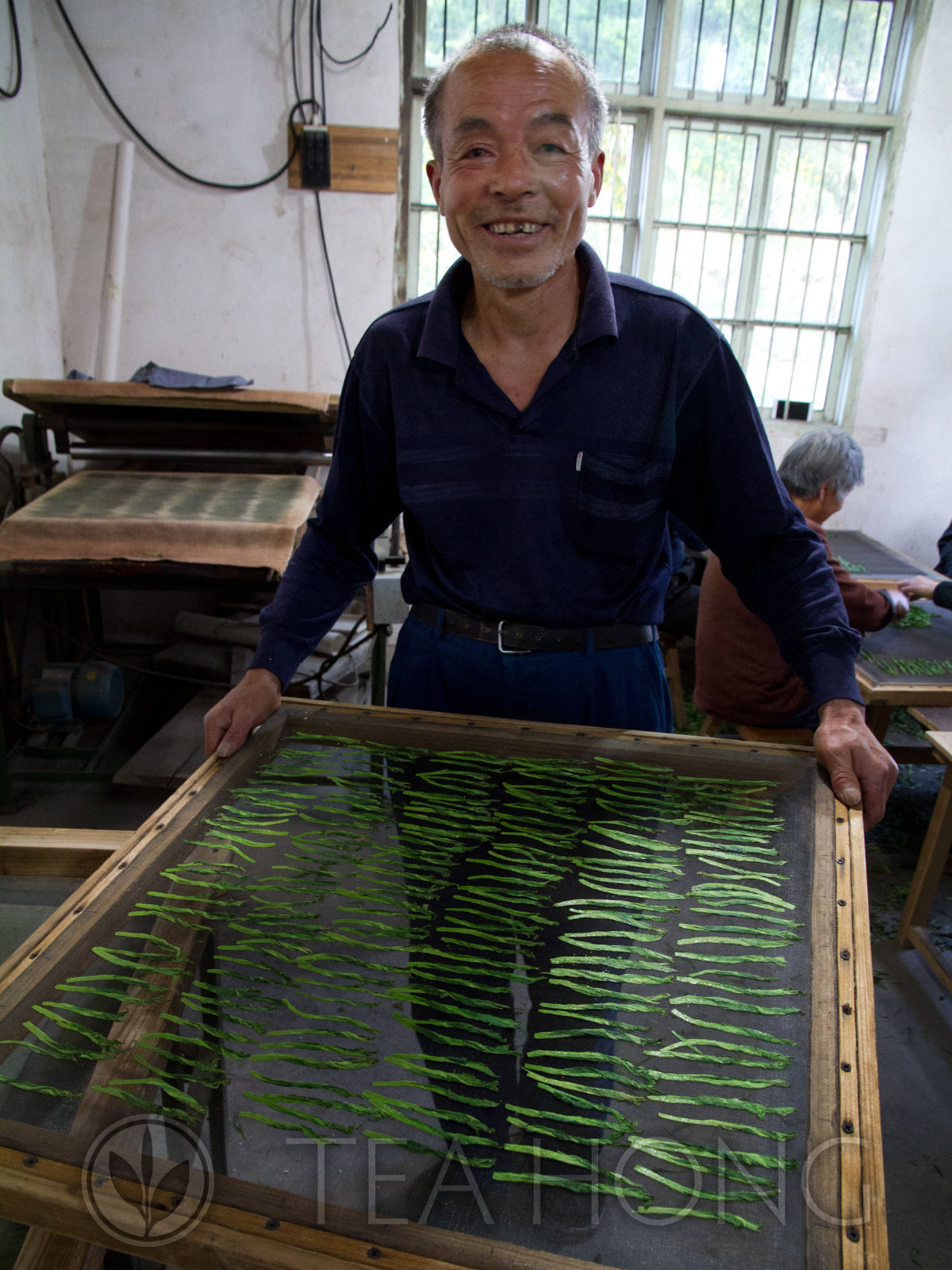 Taiping Houkui Traditional, green tea of shidaye cultivar – Tea Hong 茶香行